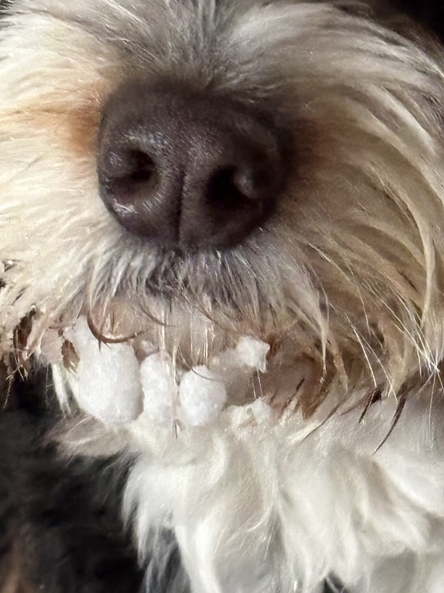 Friday Happy Hour Video: Multitasking | Writing Boots